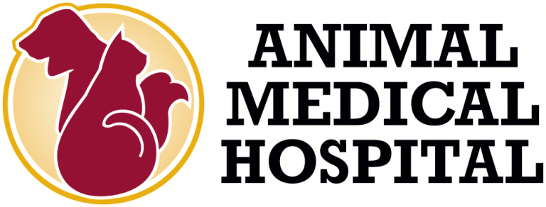 Veterinary Clinic Near Me 33713 - Animal Medical Hospital