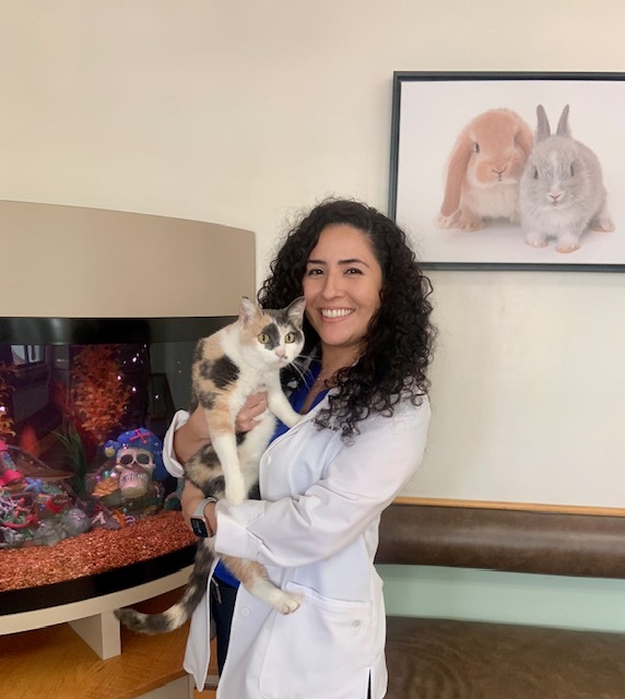 Dr. Cindy Ruiz - Animal Medical Hospital